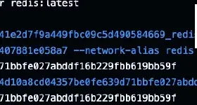 Calling Docker From Inside A Github Job Container Ken Muse