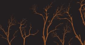 Why Your Perforce Branch History Is Missing in Git - Ken Muse